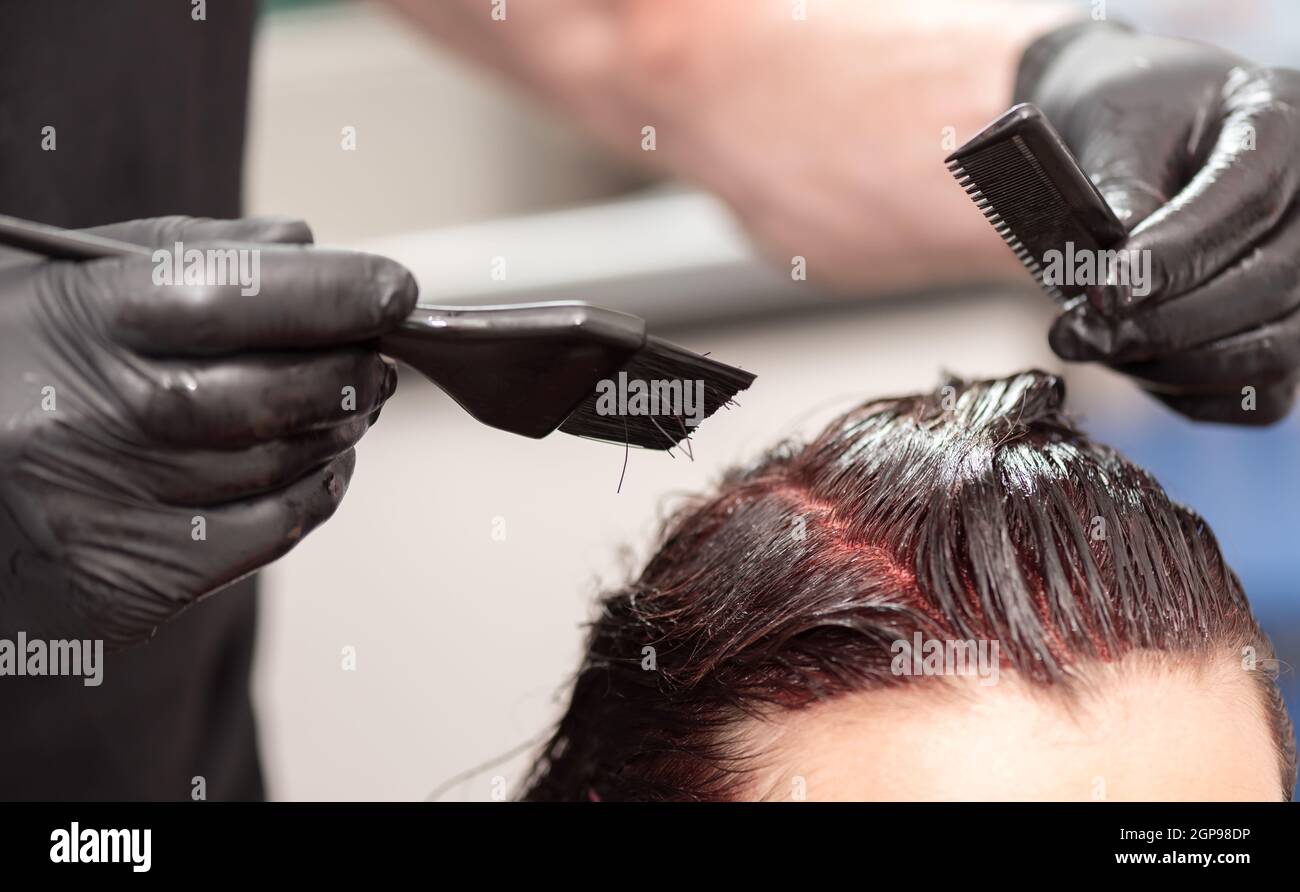 Hairdresser coloring client hair Stock Photo - Alamy