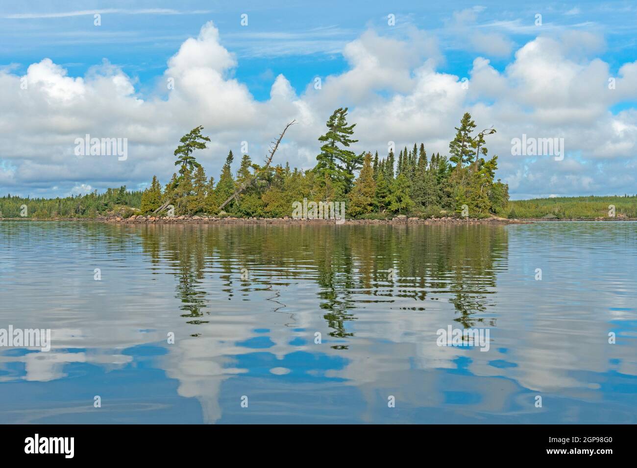 Windblown Pines in a Reflective Cloudscape on Seagull Lake in the ...