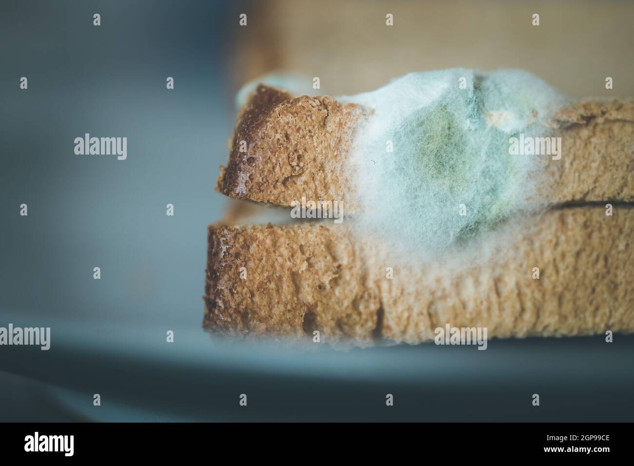 Rotten toast slices with green mildew on it Stock Photo - Alamy