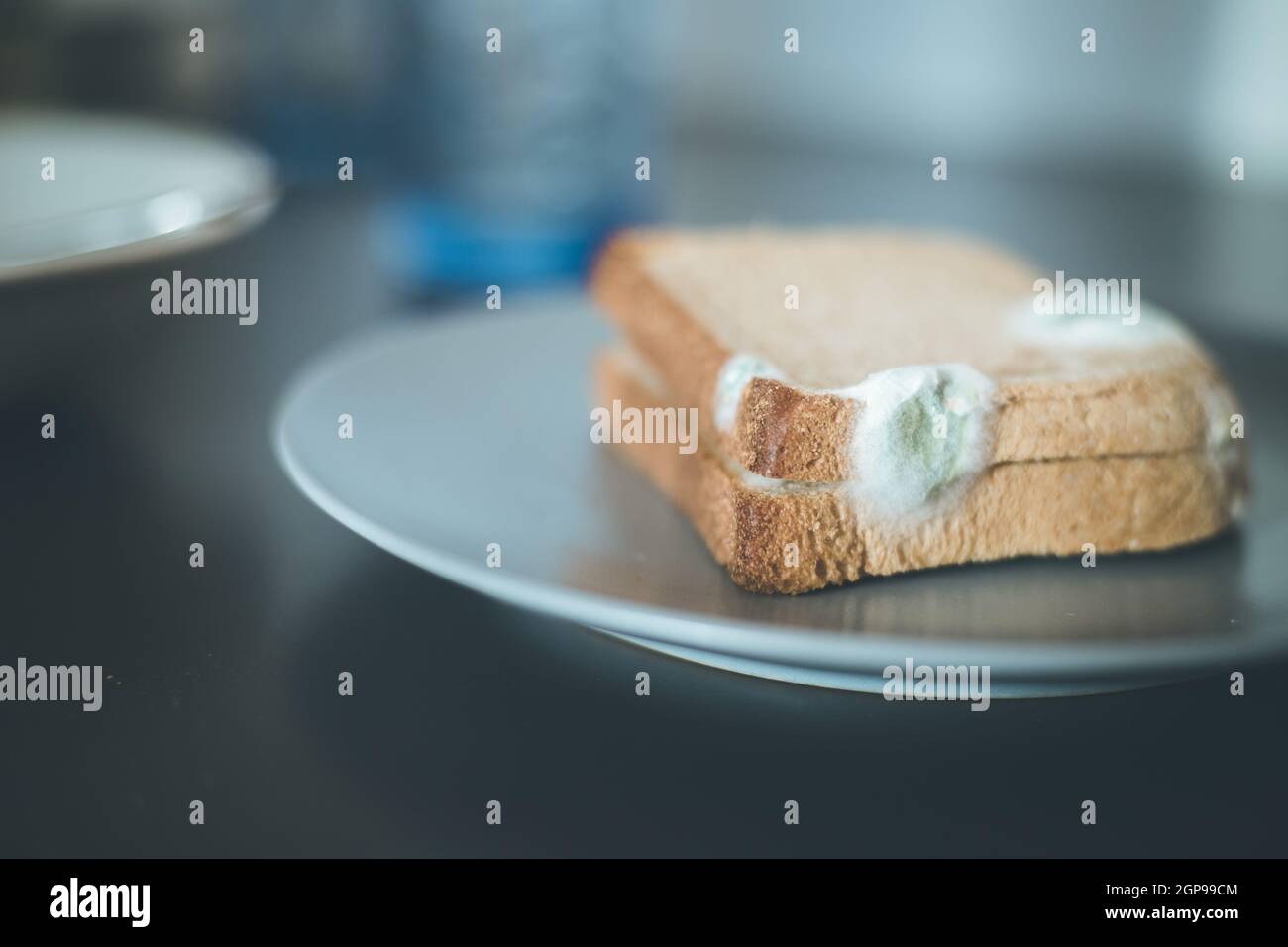 Rotten toast slices with green mildew on it Stock Photo - Alamy