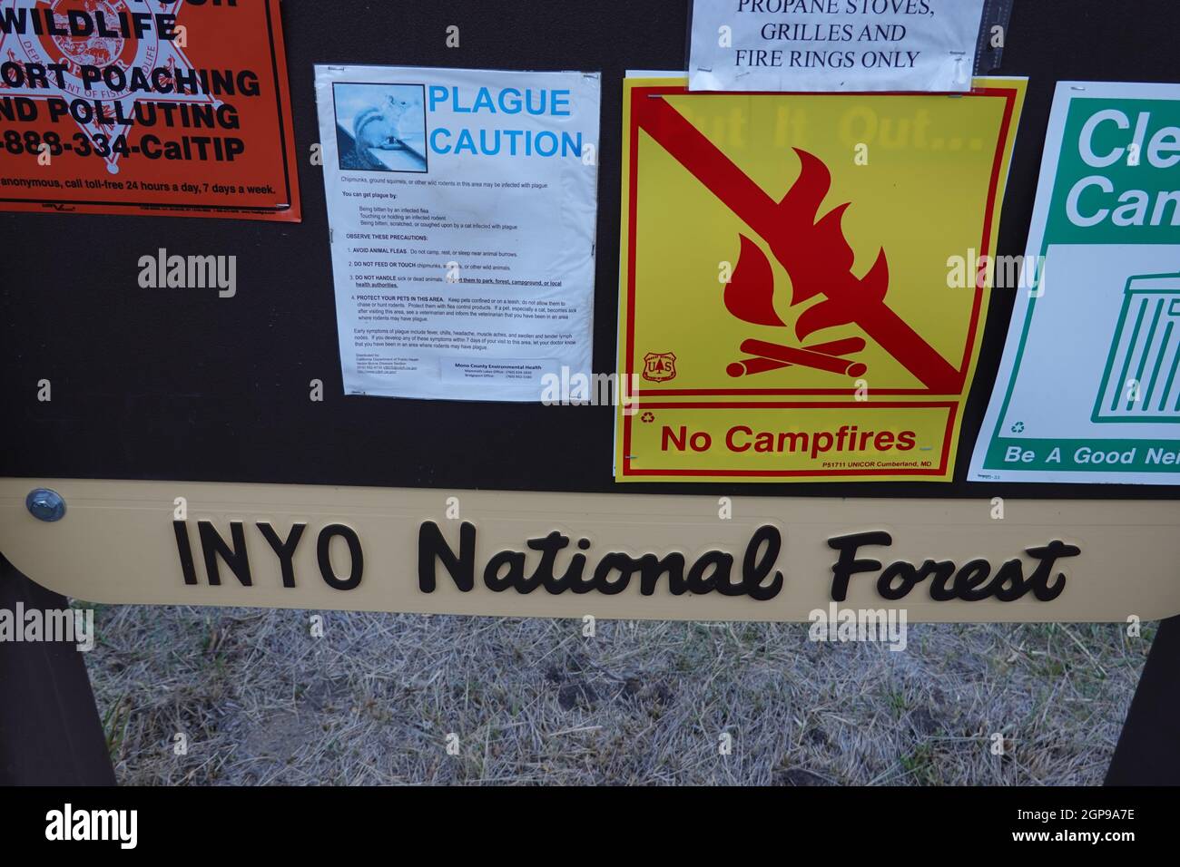 Inyo national forest California no campfires warning sign during high ...