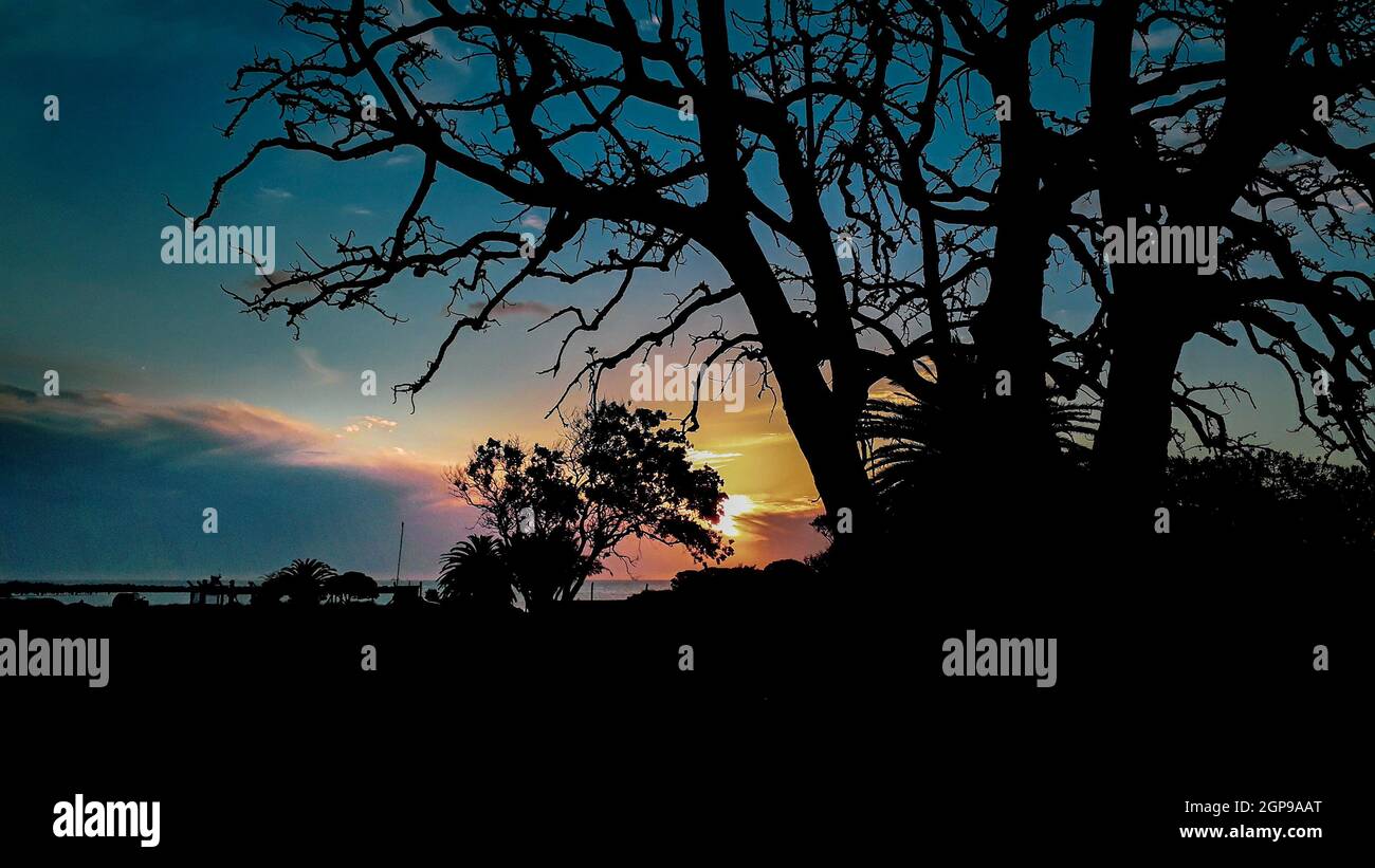 High contrast sunset silhouette coastal scene at montevideo city ...