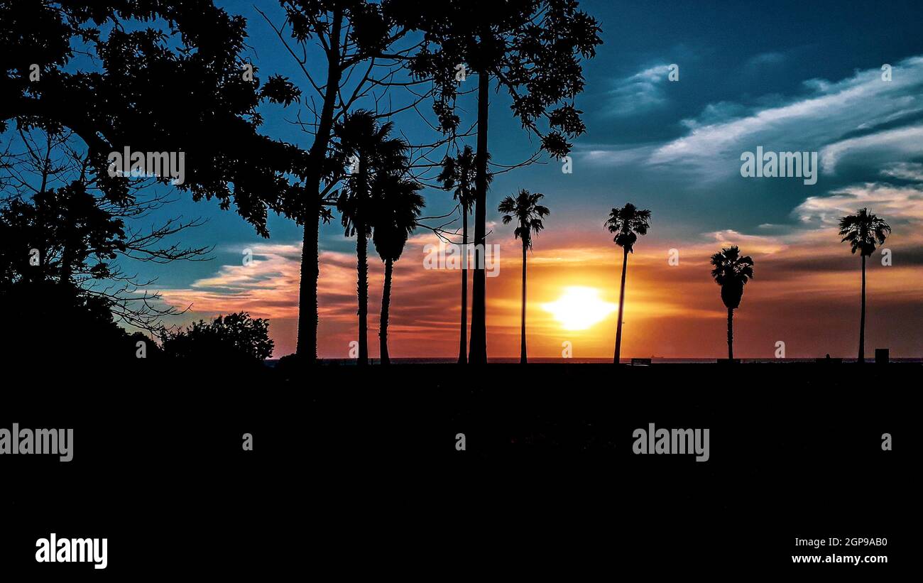 High contrast sunset silhouette coastal scene at montevideo city ...