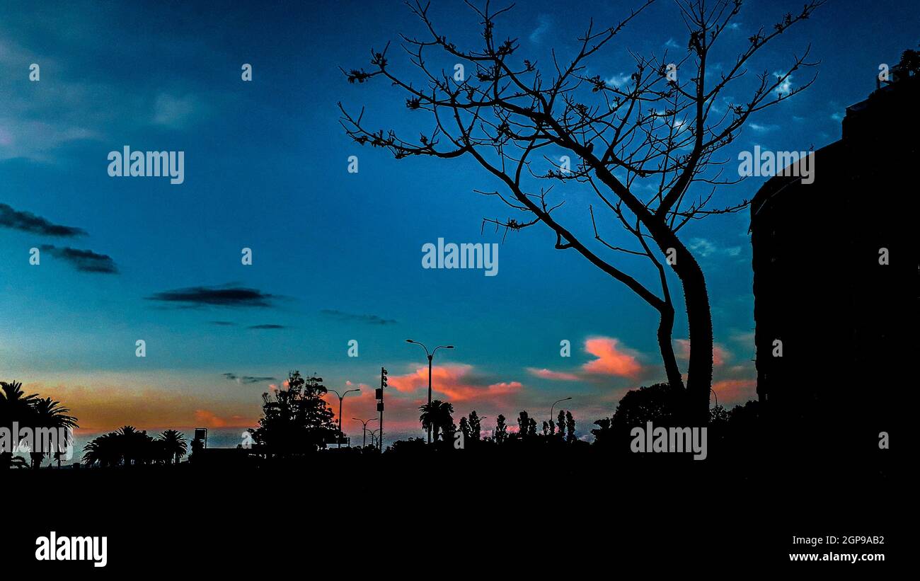 High contrast sunset silhouette coastal scene at montevideo city ...