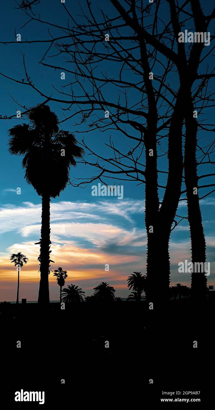 High contrast sunset silhouette coastal scene at montevideo city ...