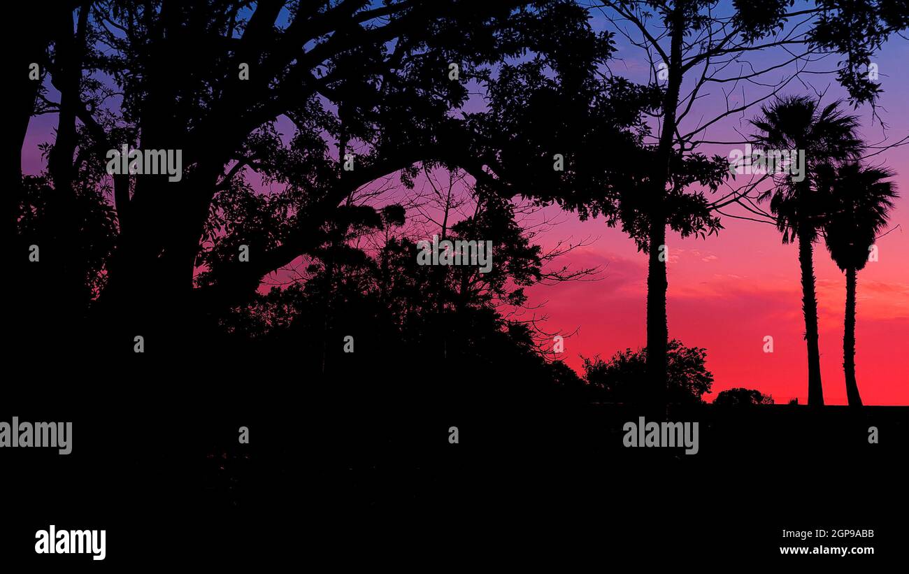 High contrast sunset silhouette coastal scene at montevideo city ...