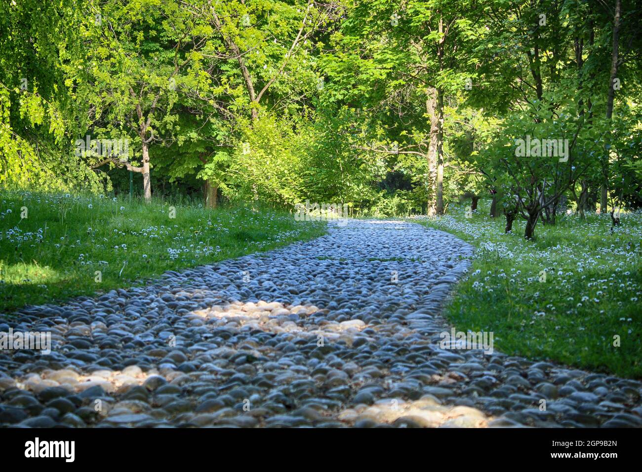 green park with pebble path Stock Photo - Alamy