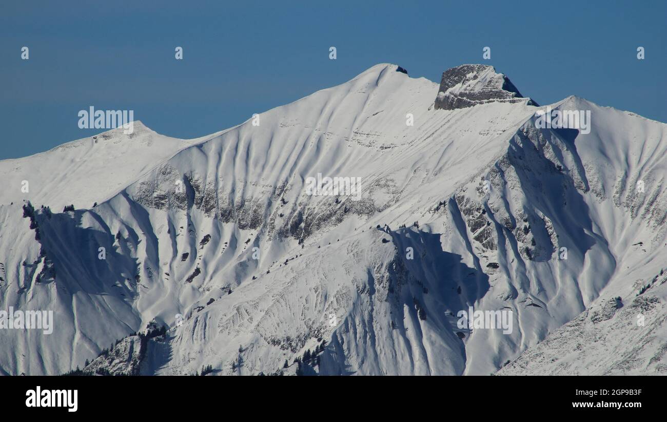 Vanil noir hi-res stock photography and images - Alamy