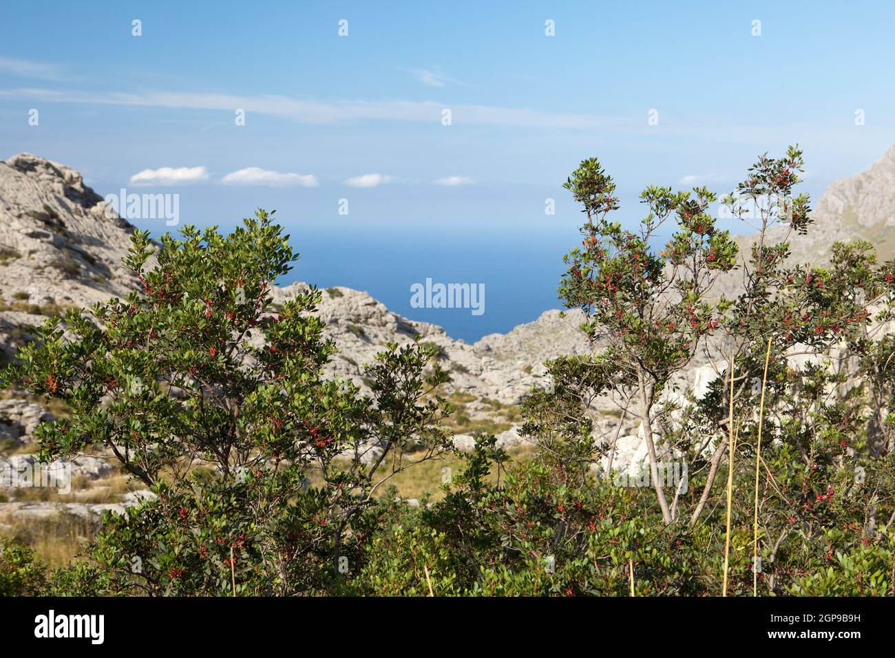 Serra de Tramuntana - mountains on Mallorca, Spain Stock Photo - Alamy