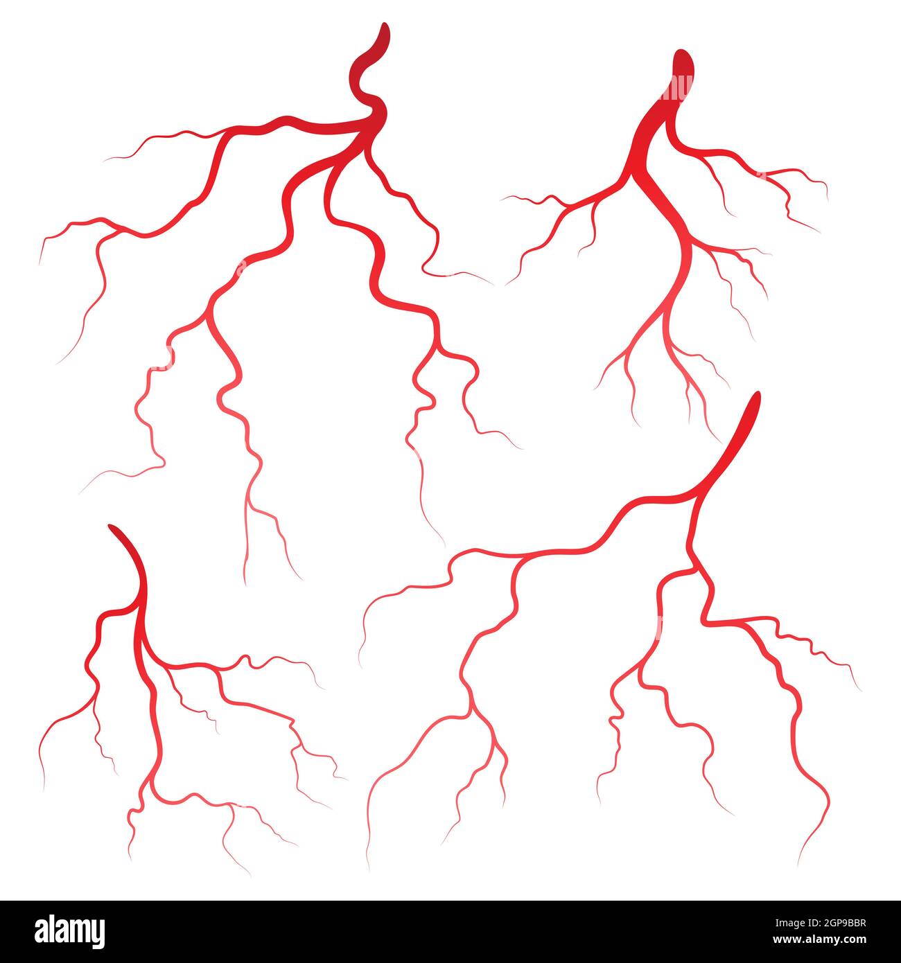 Human veins and arteries illustration design template Stock Photo - Alamy