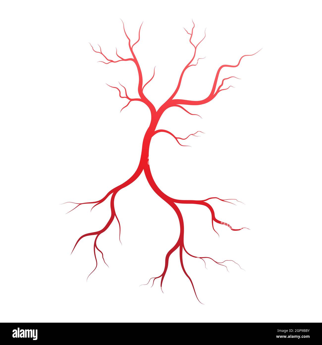 Human veins and arteries illustration design template Stock Photo - Alamy