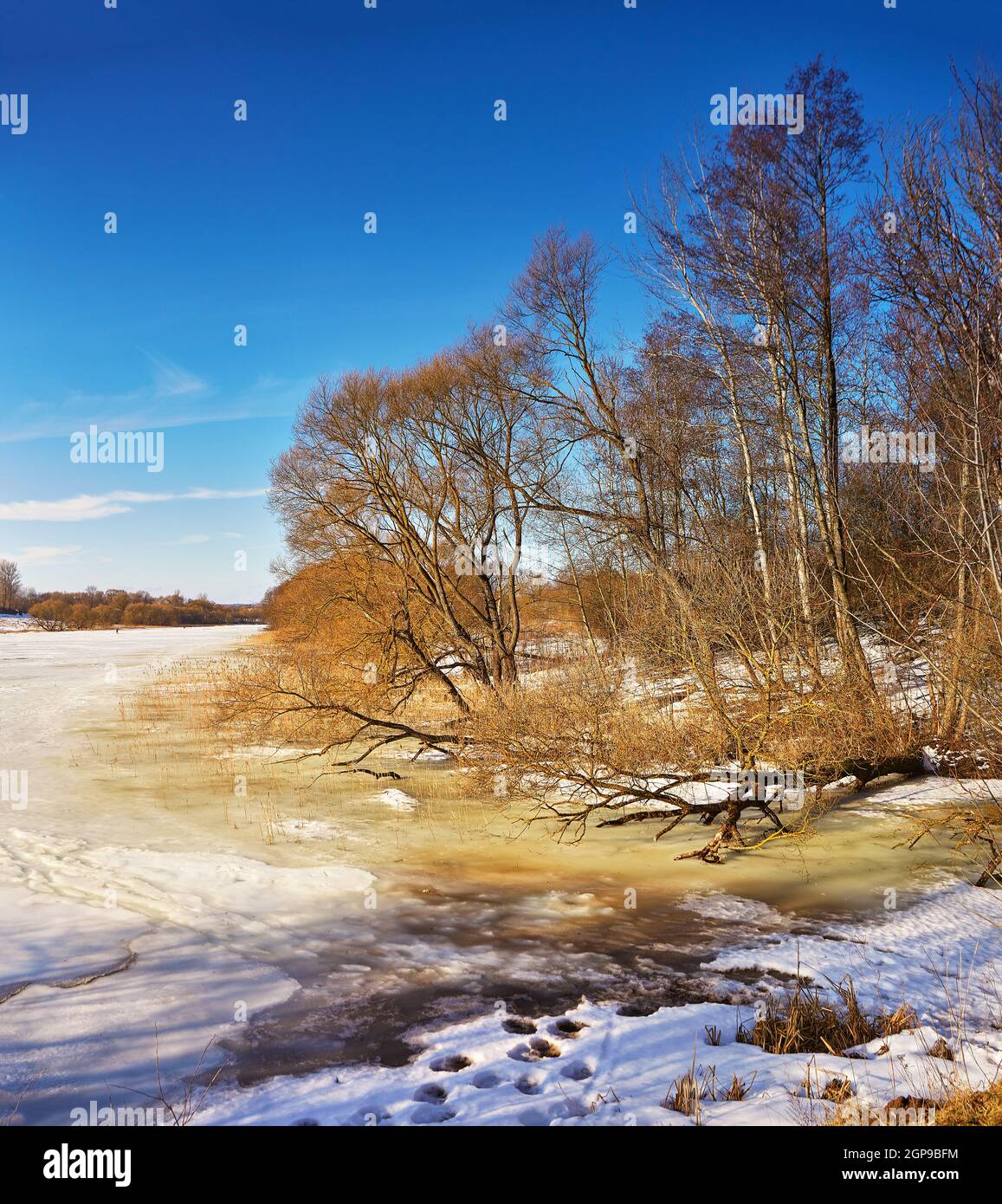 Early Spring With Melting Ice And Snow. Nature in March. Lake and ...