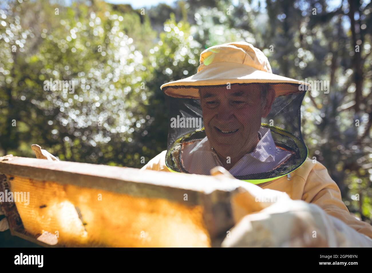 Happy caucasian senior man wearing beekeeper uniform holding a ...