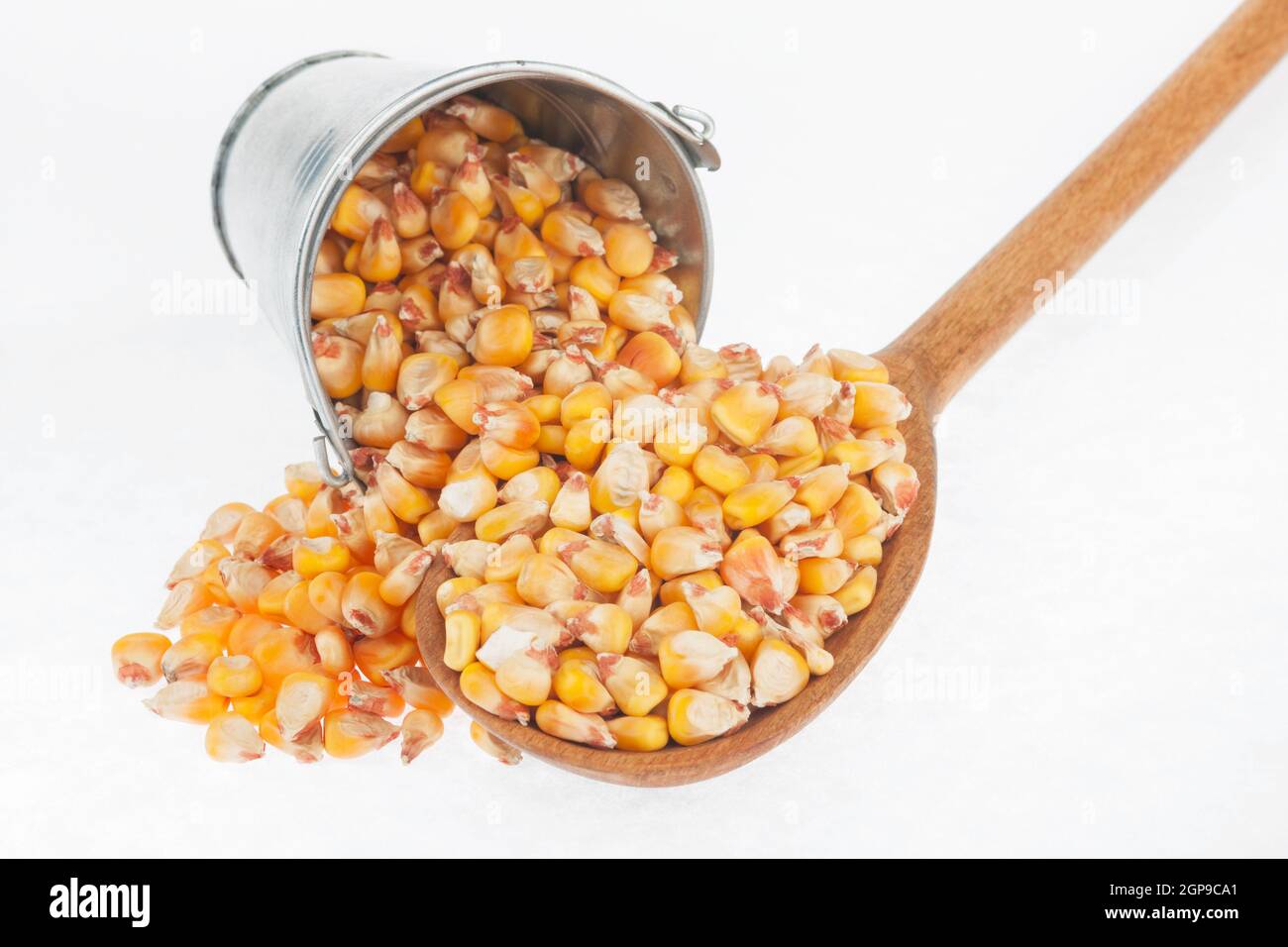 Bucket of corn crumbles in the a wooden spoon, on a white background ...