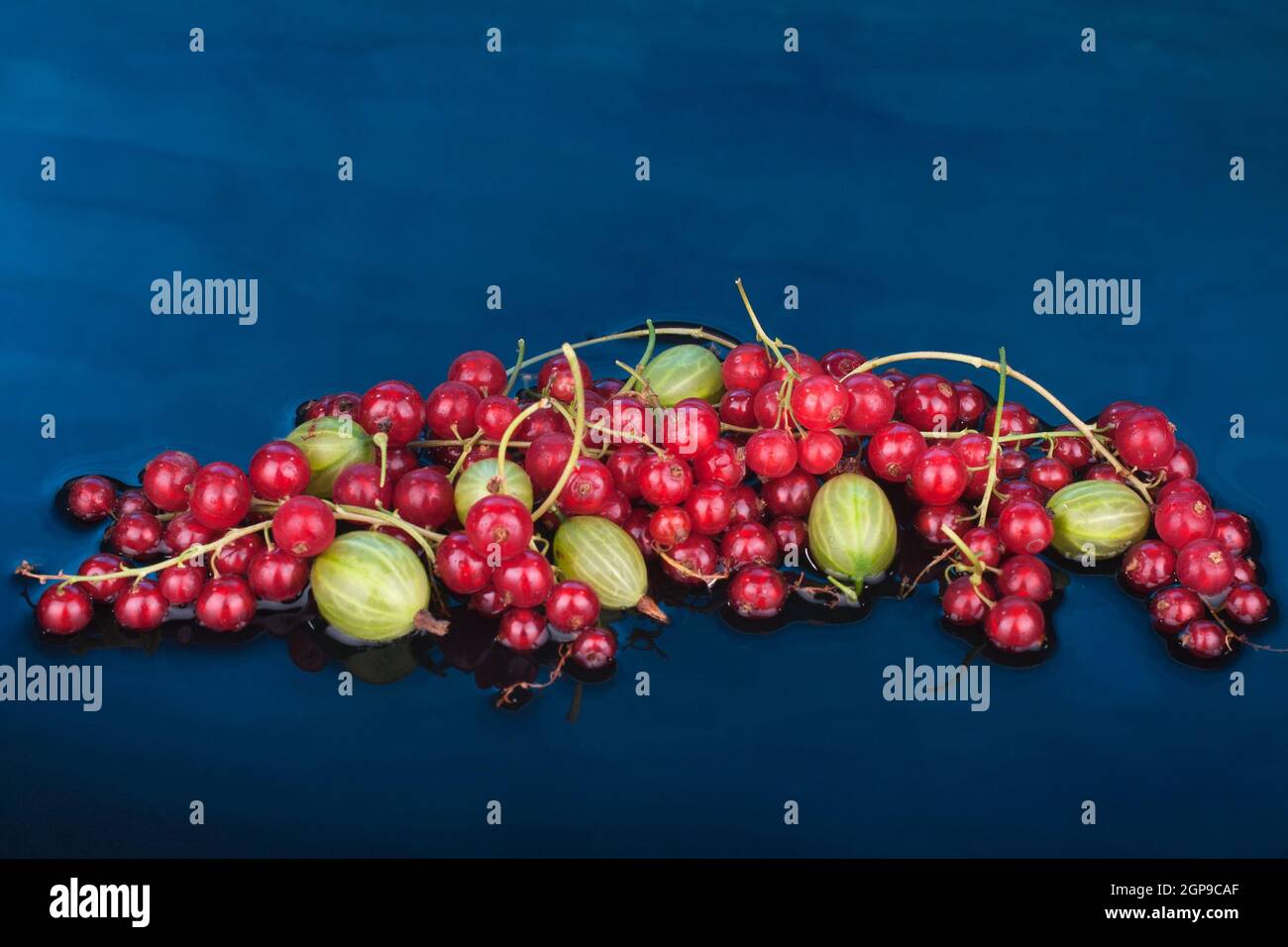 Berry mix red currant and gooseberry in water on a blue background ...