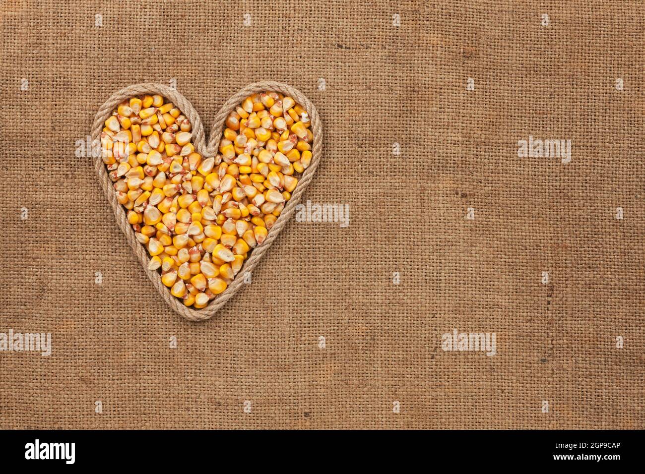 Heart made from rope with corn grains lying on sackcloth, with space ...