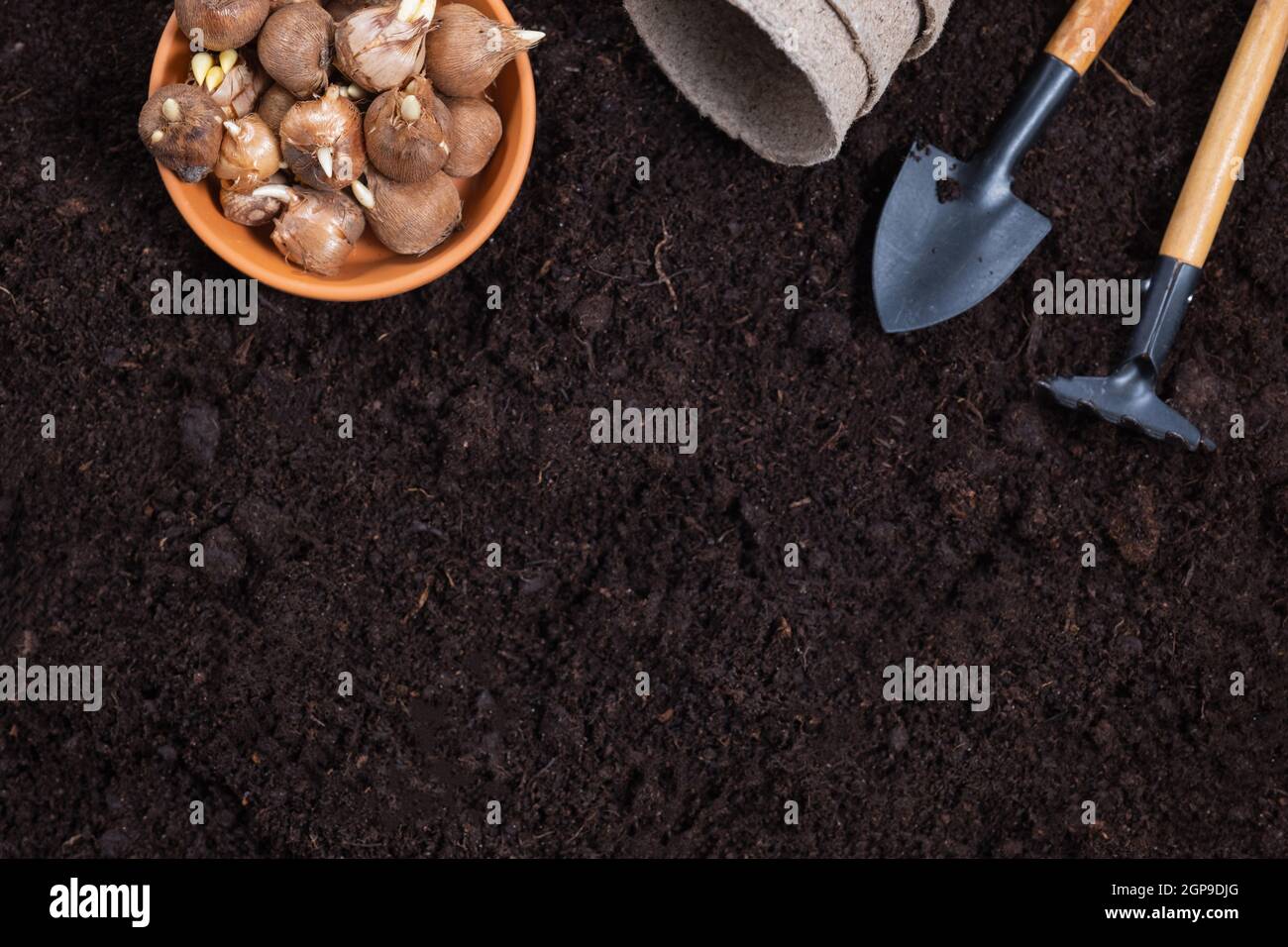 Spring gardening background. Gardening tools, flower pots and crocus ...