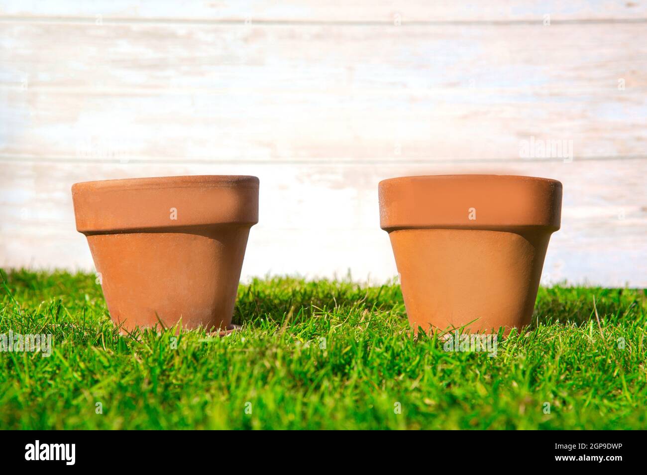 Two Flower pot empty in fresh bright green grass with wooden background ...