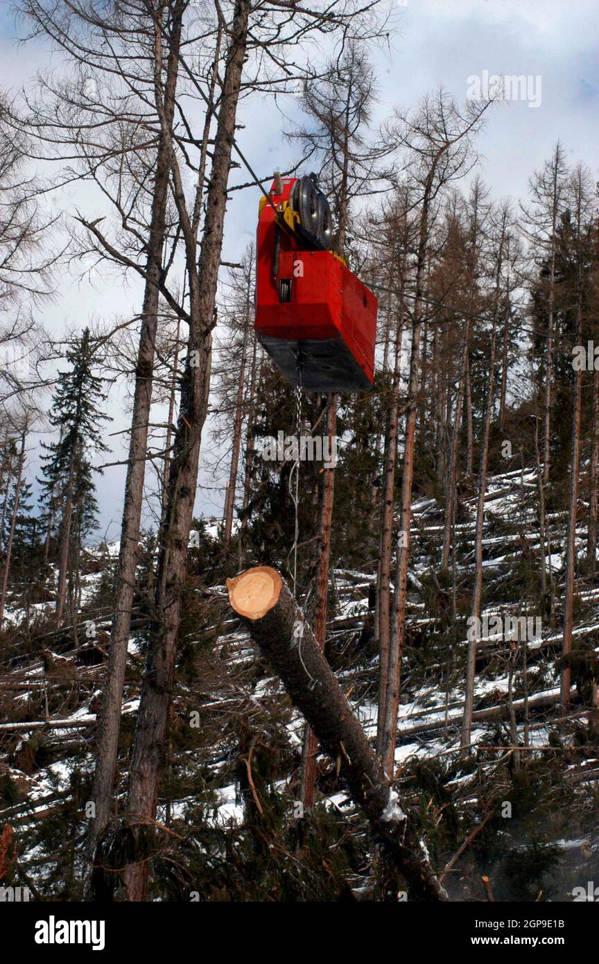 Cableway for timber transport hi-res stock photography and images - Alamy