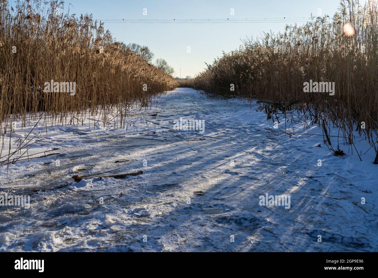 Winter landscape. Frozen channel and the reeds Stock Photo - Alamy