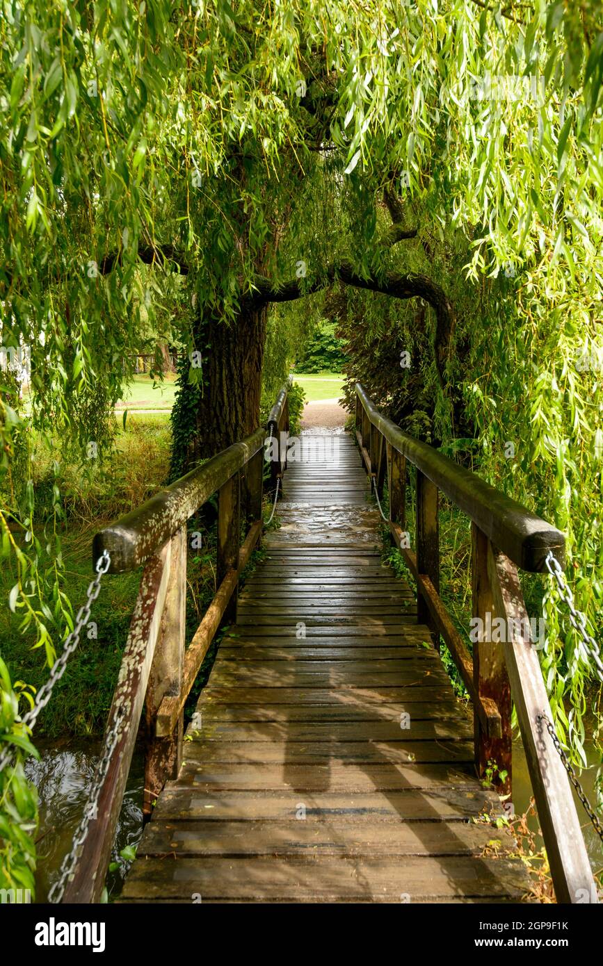 view of small pedestrian wooden bridge under a willow tree in garden of ...
