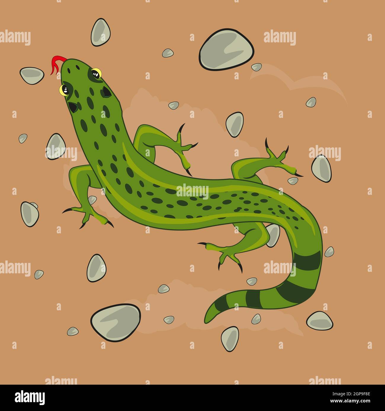 Vector illustration grovelling animal to reptiles lizard in desert ...