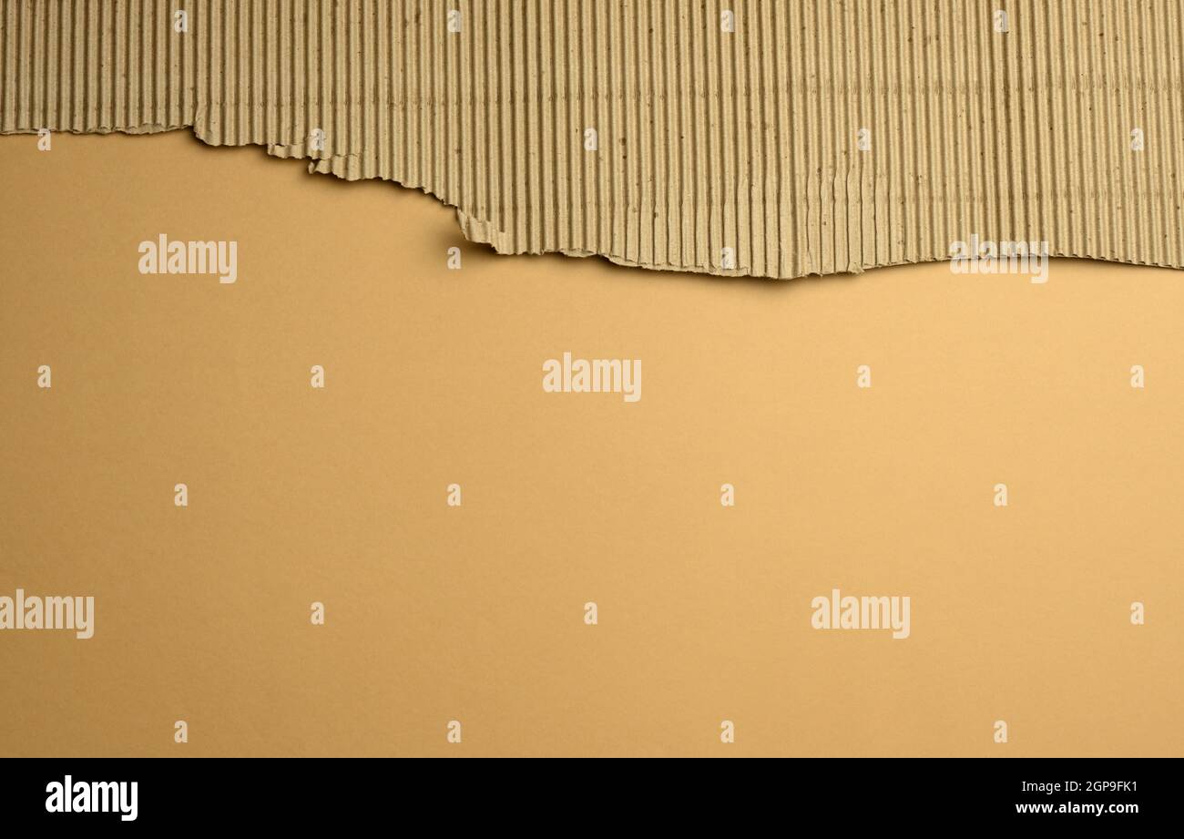 brown corrugated cardboard with torn edges on a brown background, copy ...