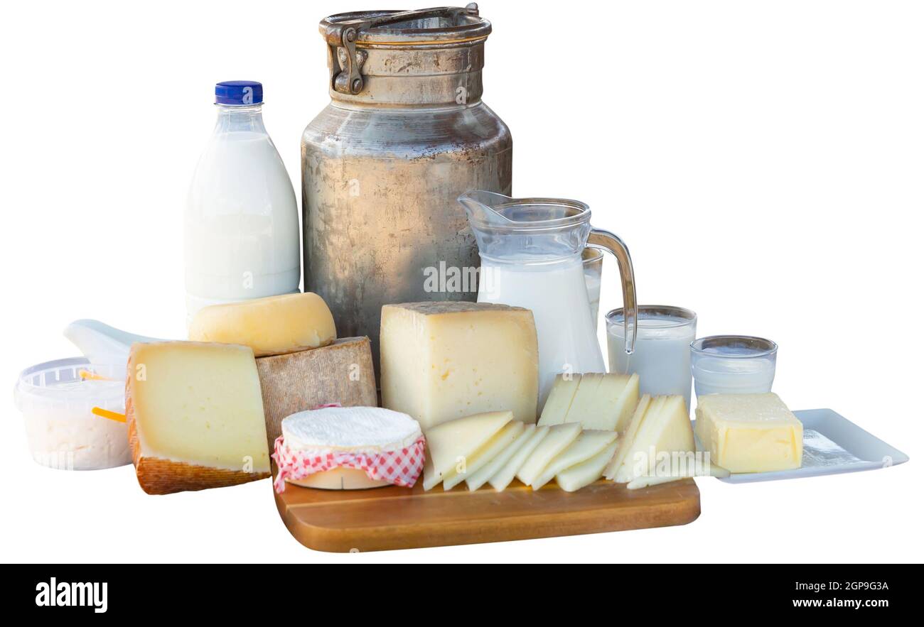 Cows on organic farm Cut Out Stock Images & Pictures - Alamy