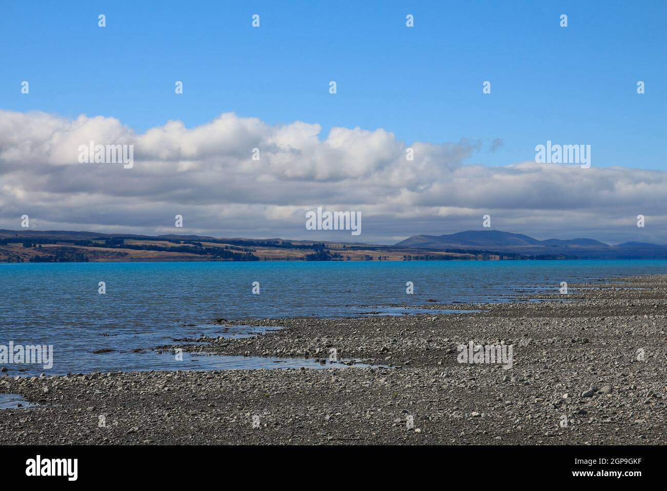 Unique colored lake in New Zealand Stock Photo - Alamy