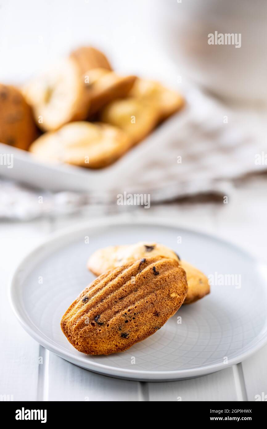 Madeleine with chocolate. Traditional French small cakes on plate Stock ...