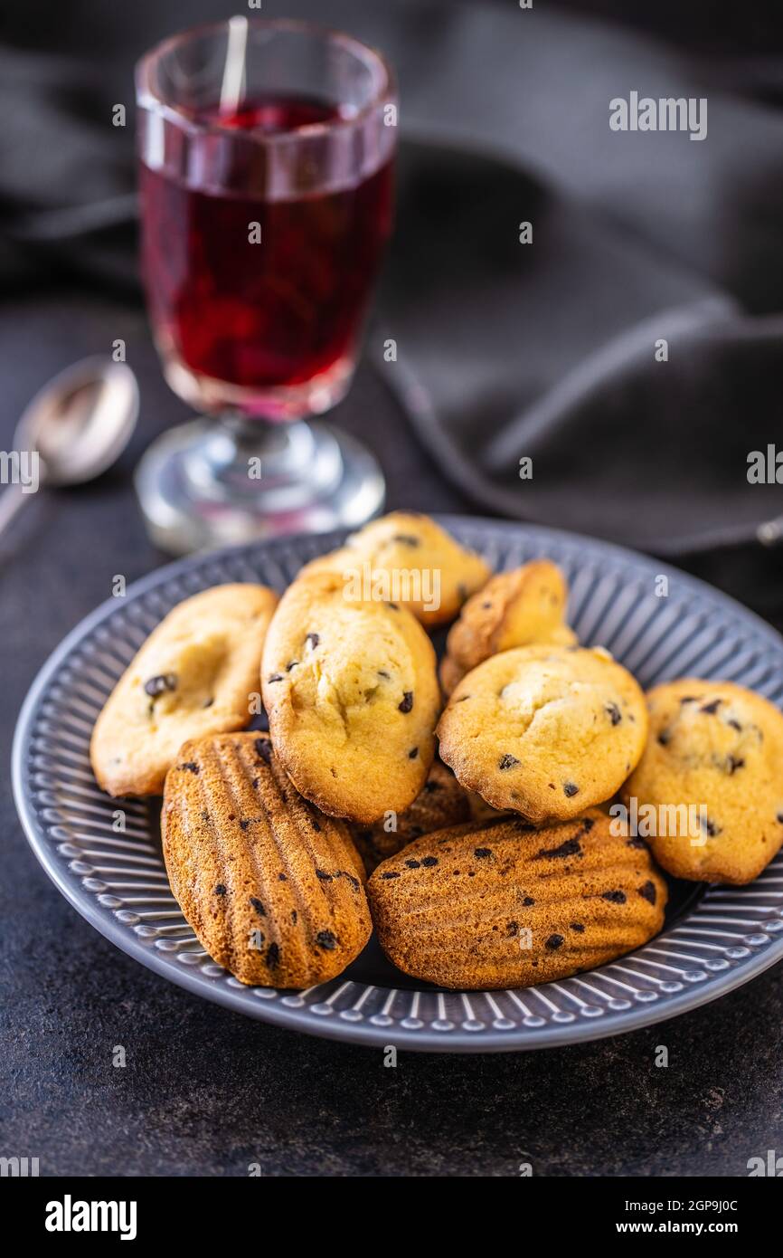 Madeleine with chocolate. Traditional French small cakes on plate Stock ...