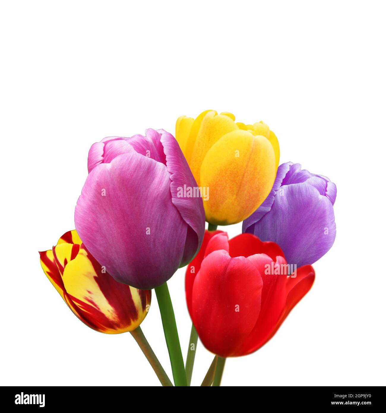 Garden design layout Cut Out Stock Images & Pictures - Alamy