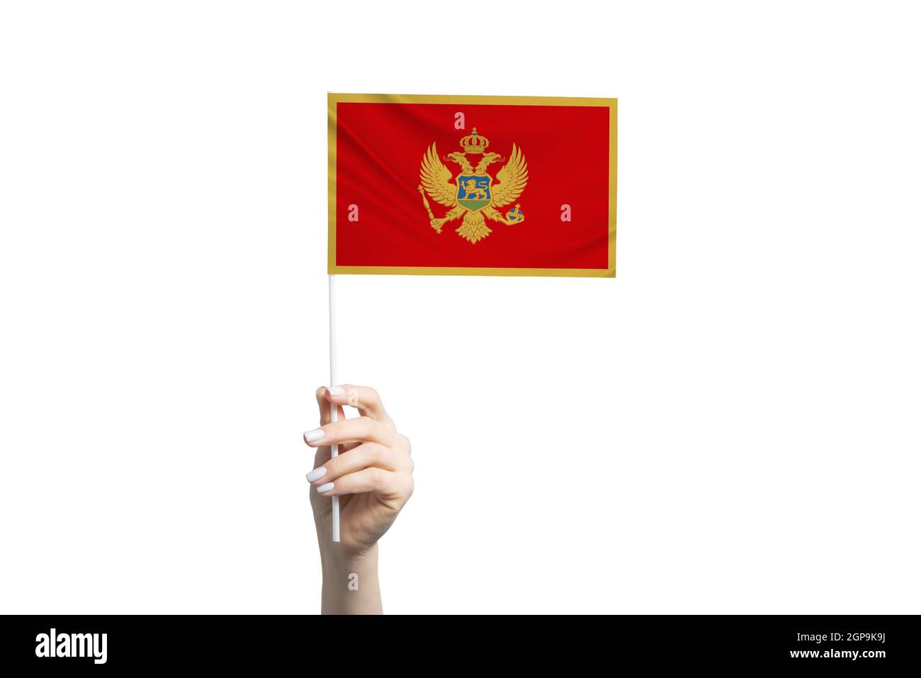 Beautiful female hand holding Montenegro flag, isolated on white ...
