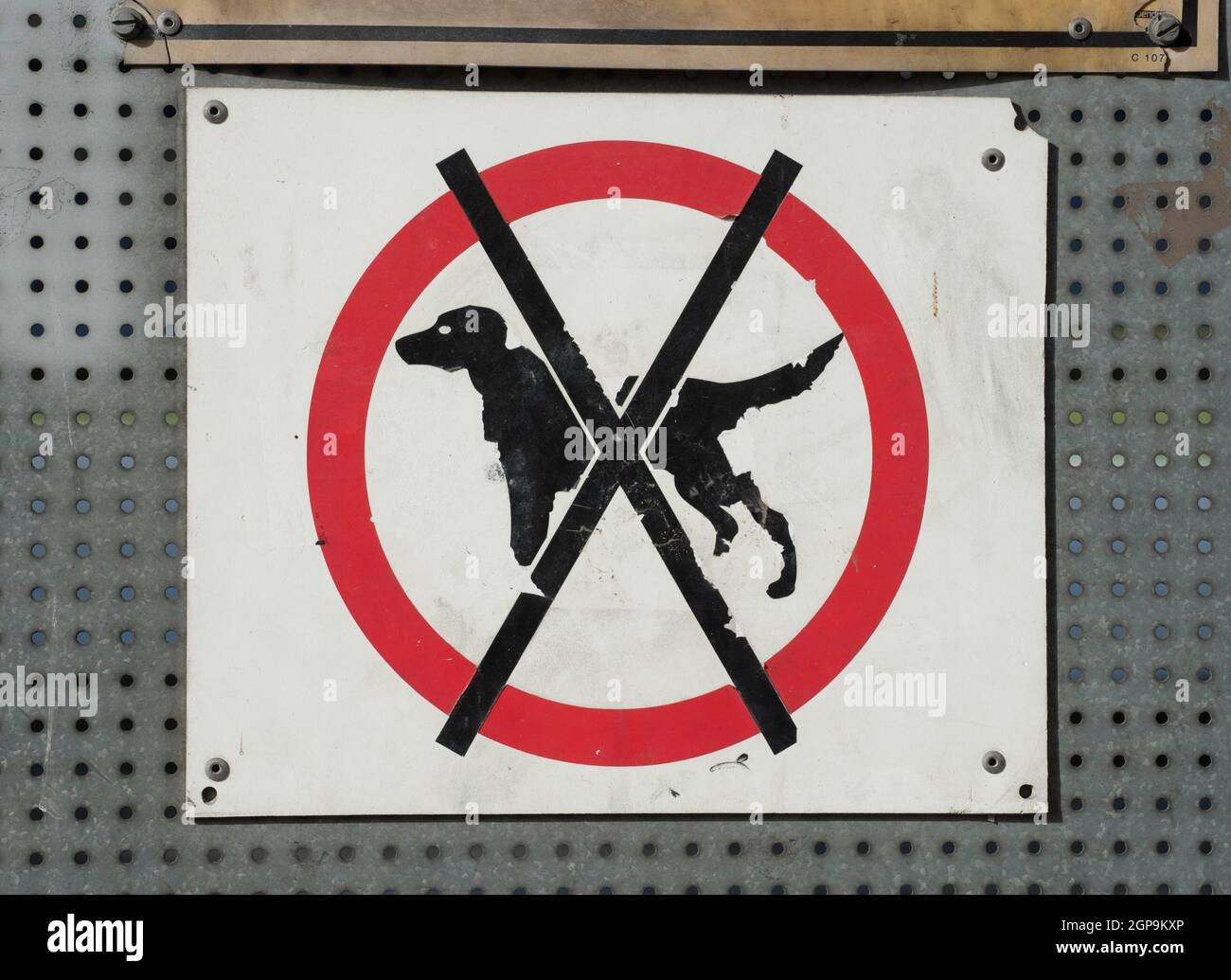 a no dogs allowed sign, ban of dogs in a specific area Stock Photo - Alamy