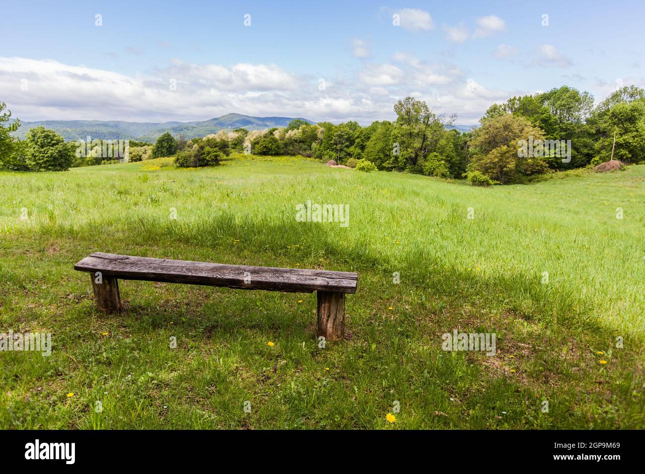 Empty bench with beautiful view at nature landscape Stock Photo - Alamy