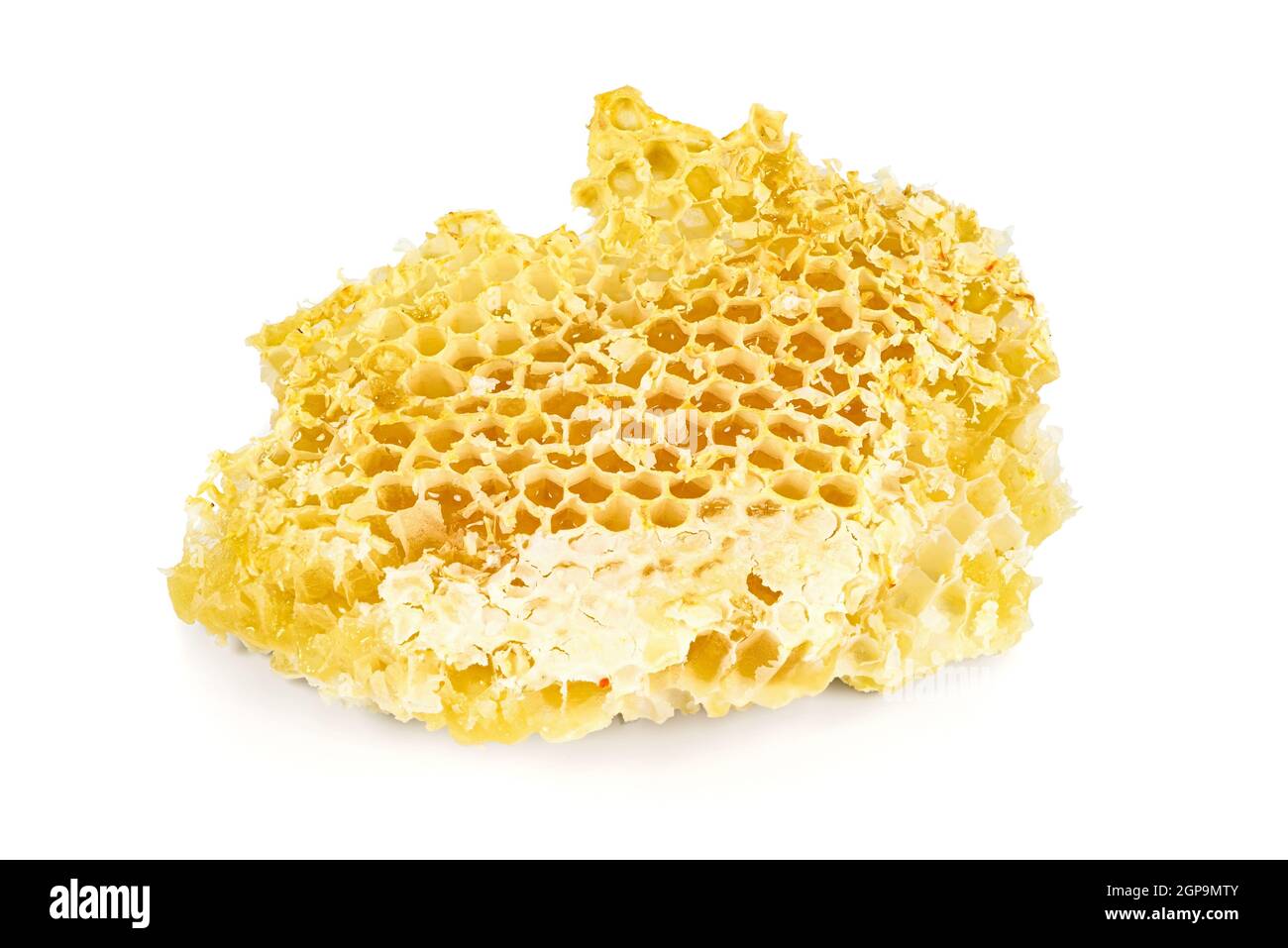 Piece of honeycomb isolated on white background with clipping path ...