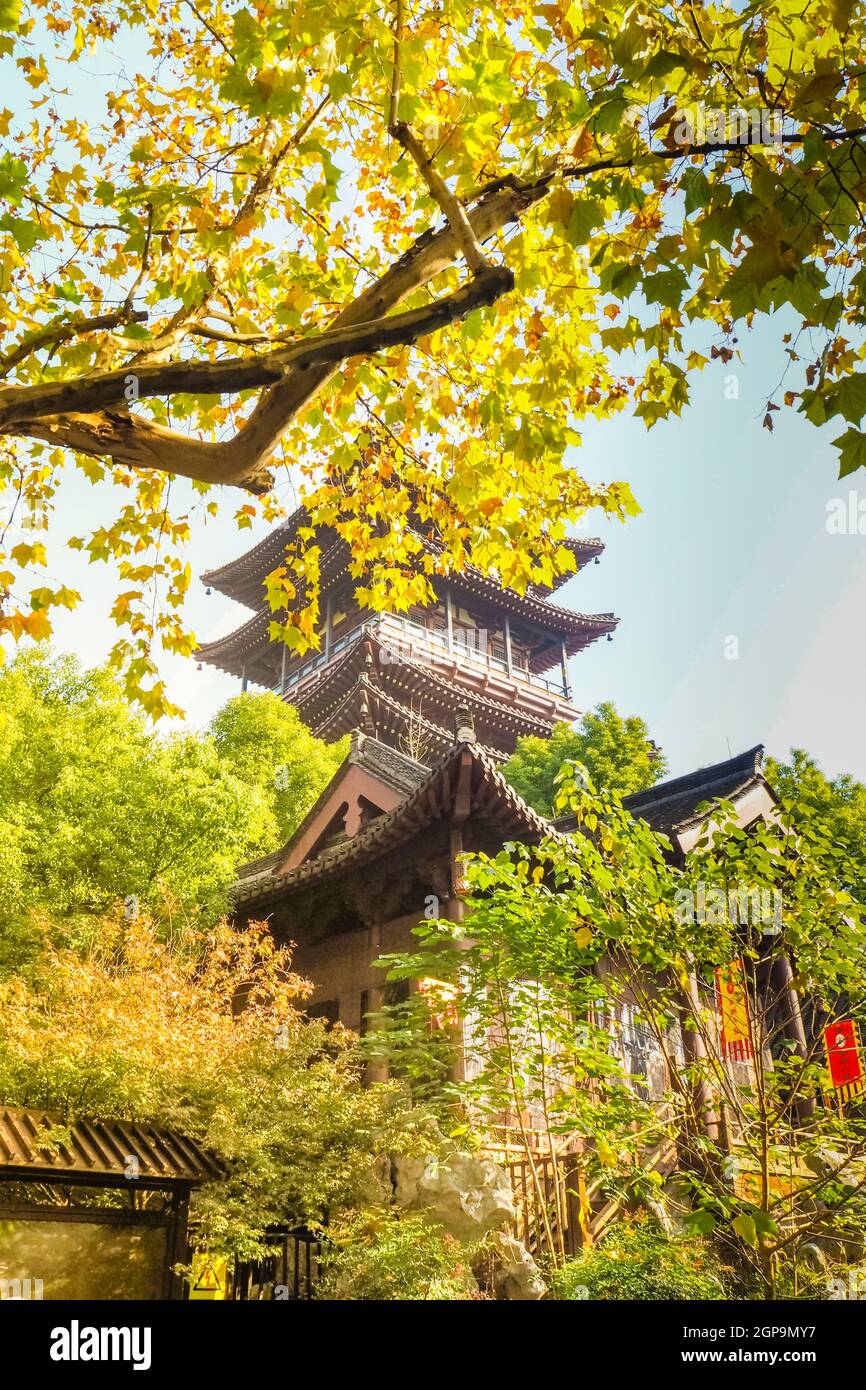 Traditional temple Shrine architecture in Osaka with autumn leaves in ...