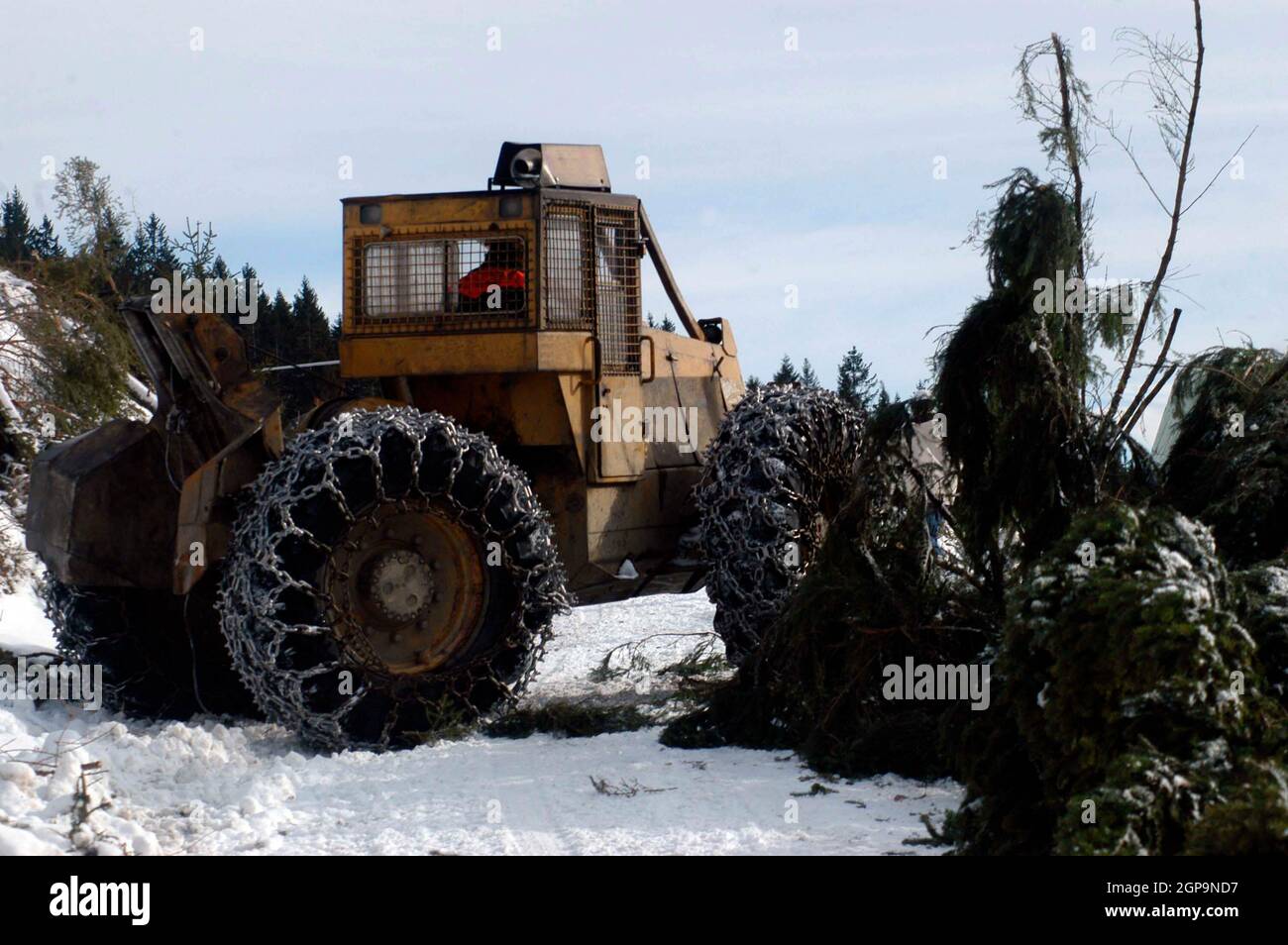 Skidder tractor logging forest hi-res stock photography and images - Alamy