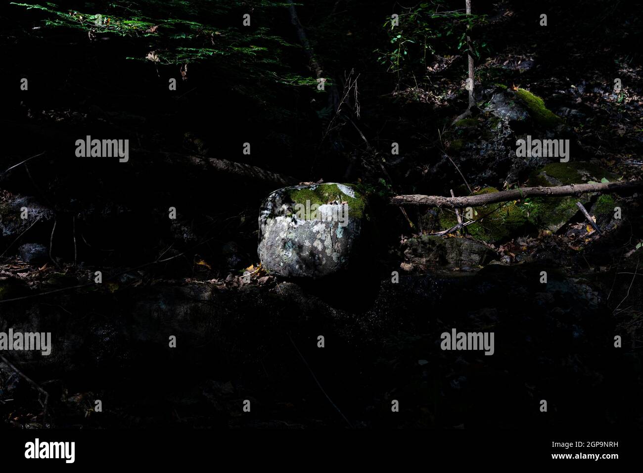 Ice age rock lit by sunlight in the middle of the forest Stock Photo ...