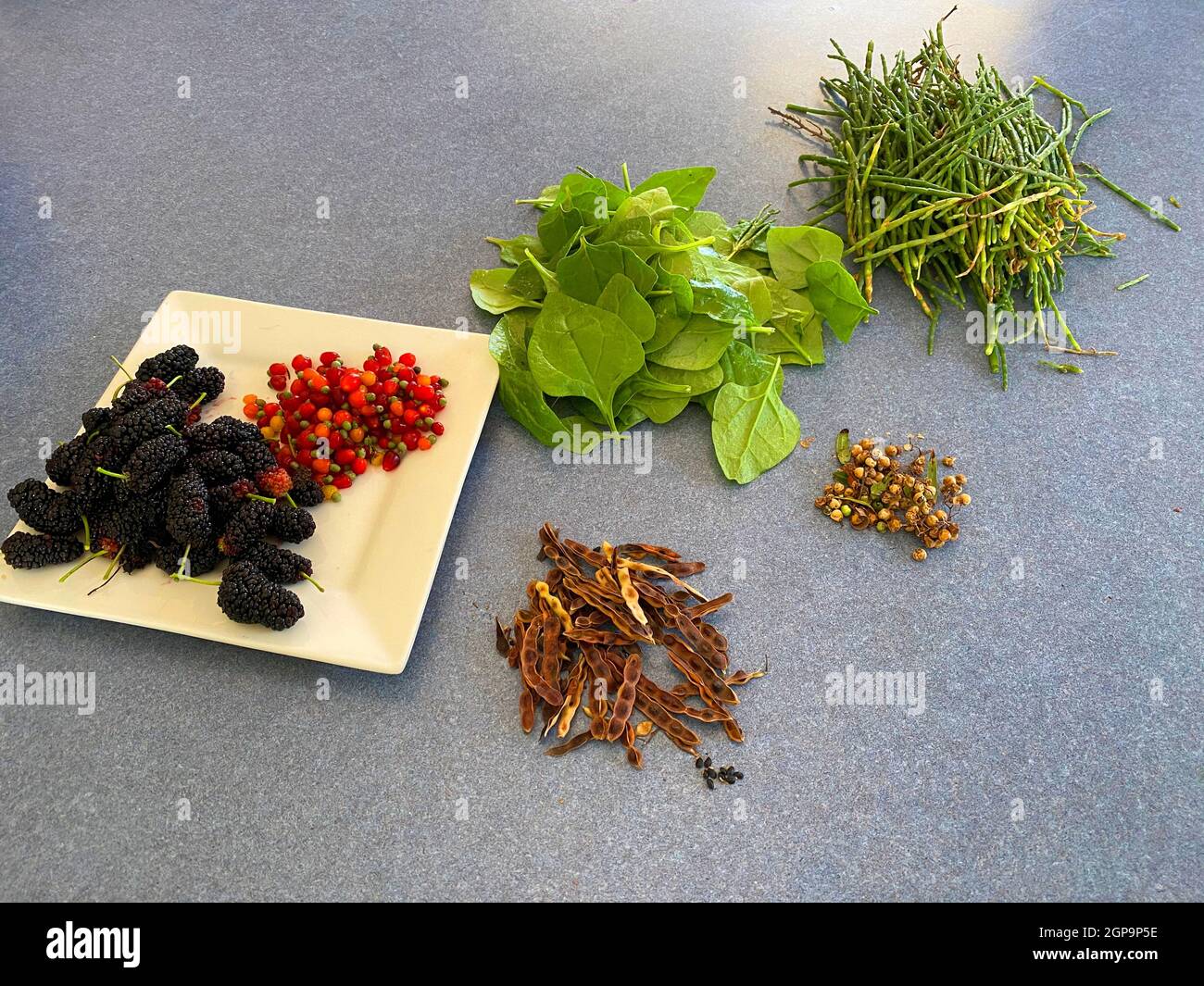 Food foraged in Australia Stock Photo - Alamy