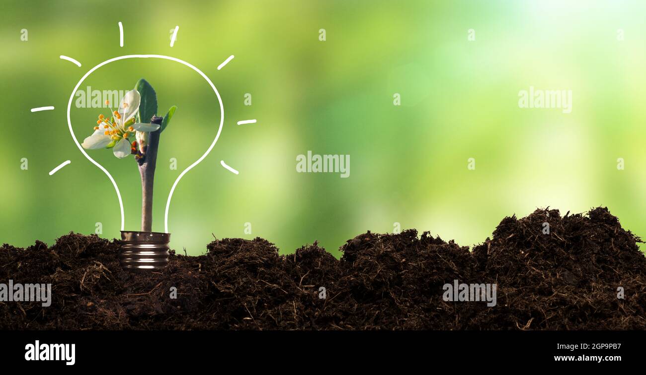 Ecological friendly and sustainable environment, alternative energy and ...