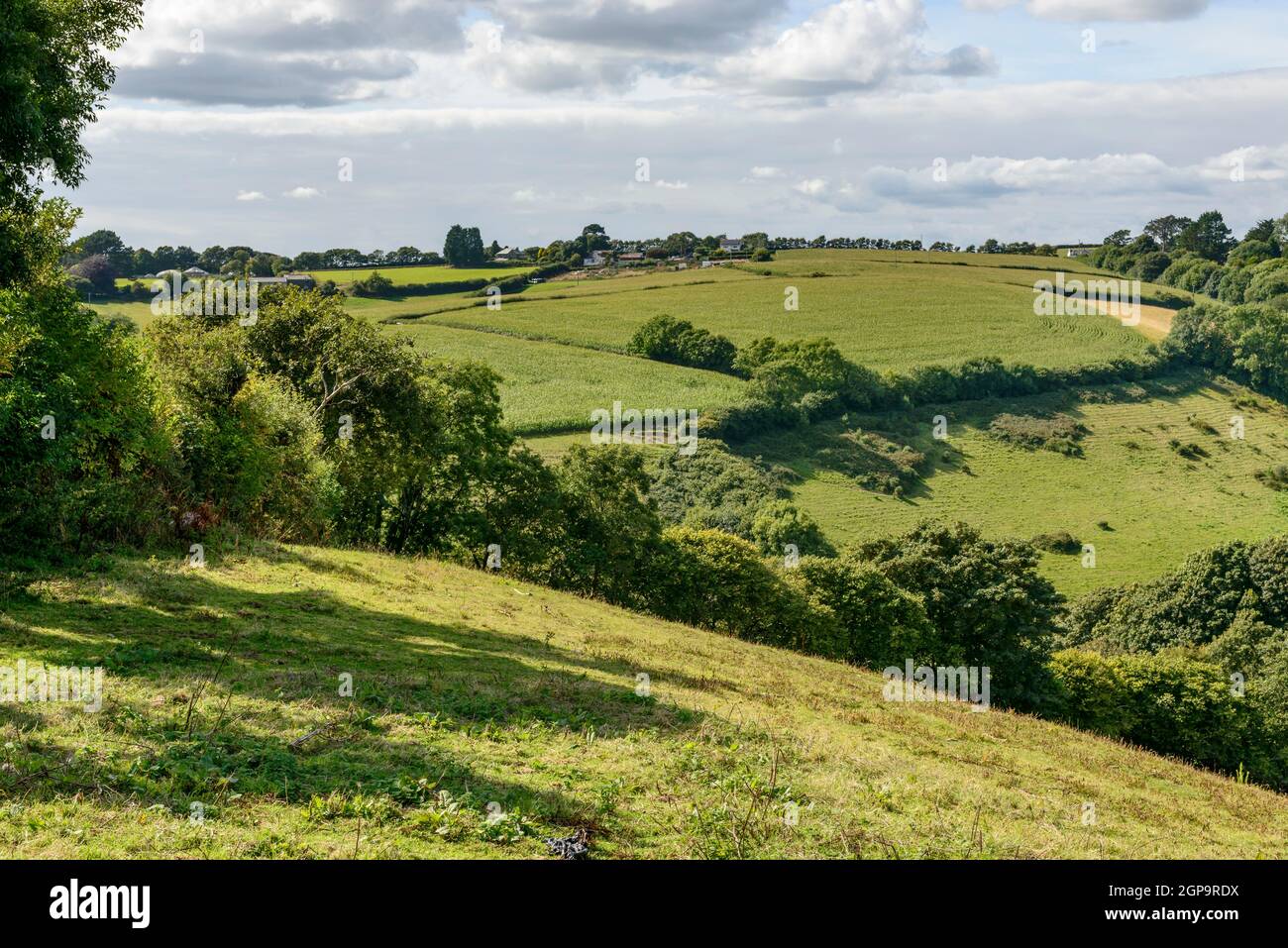 Lush green grass of cornwall hi-res stock photography and images - Alamy