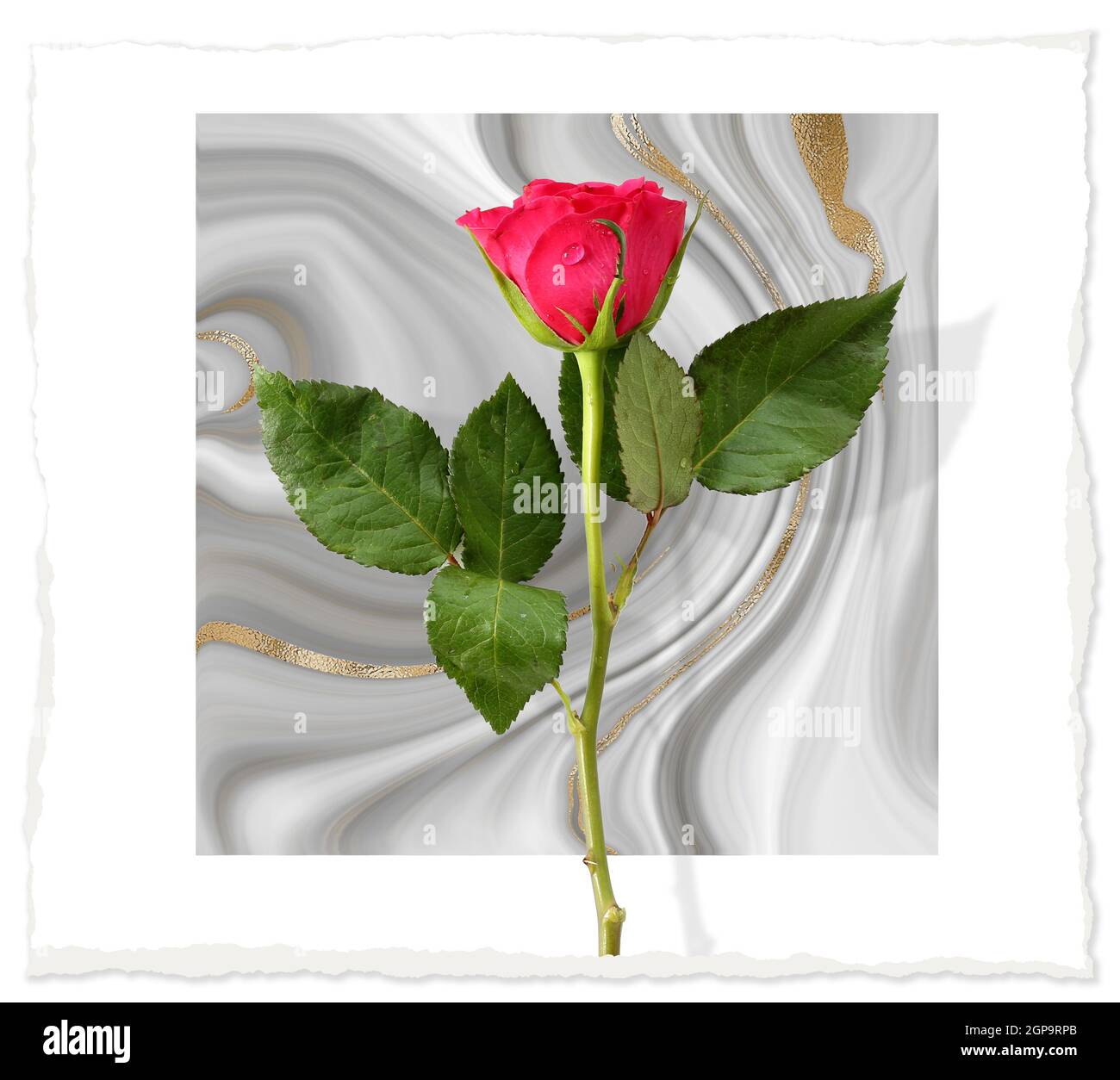 Birthday cards mothers on Cut Out Stock Images & Pictures - Alamy