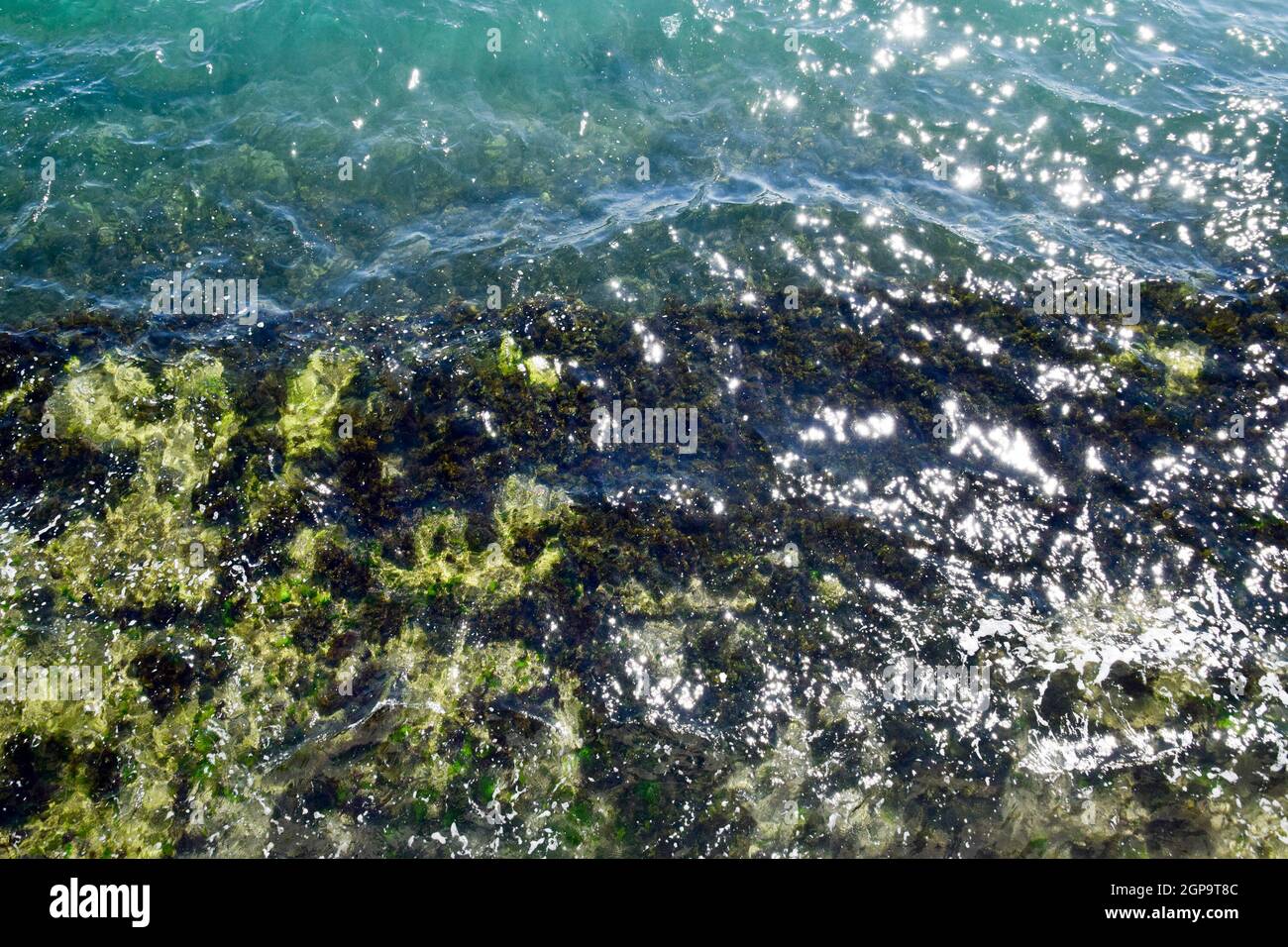 Slippery algae on rocks hi-res stock photography and images - Alamy