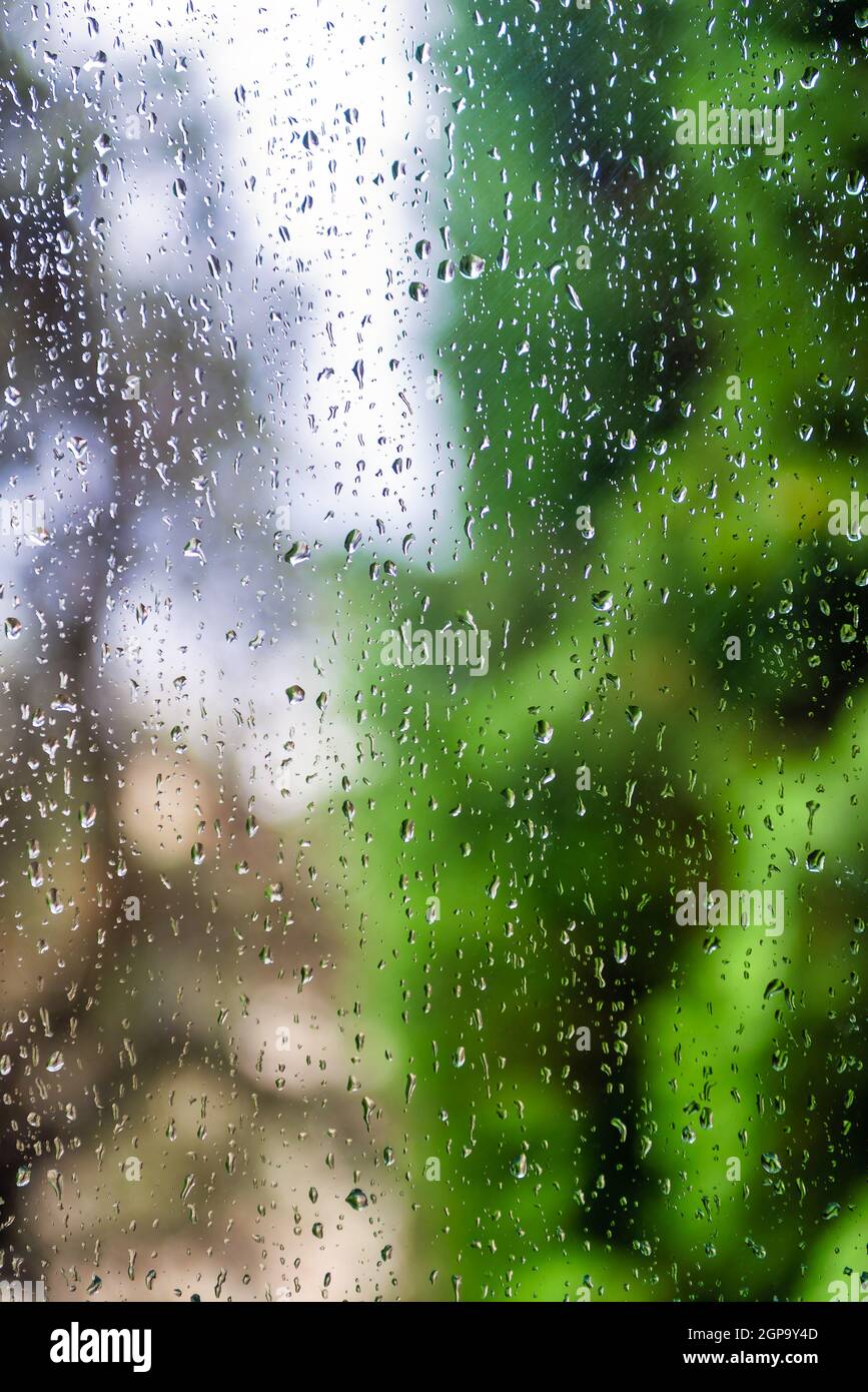 Water drops on window glass with blur garden background Stock Photo - Alamy