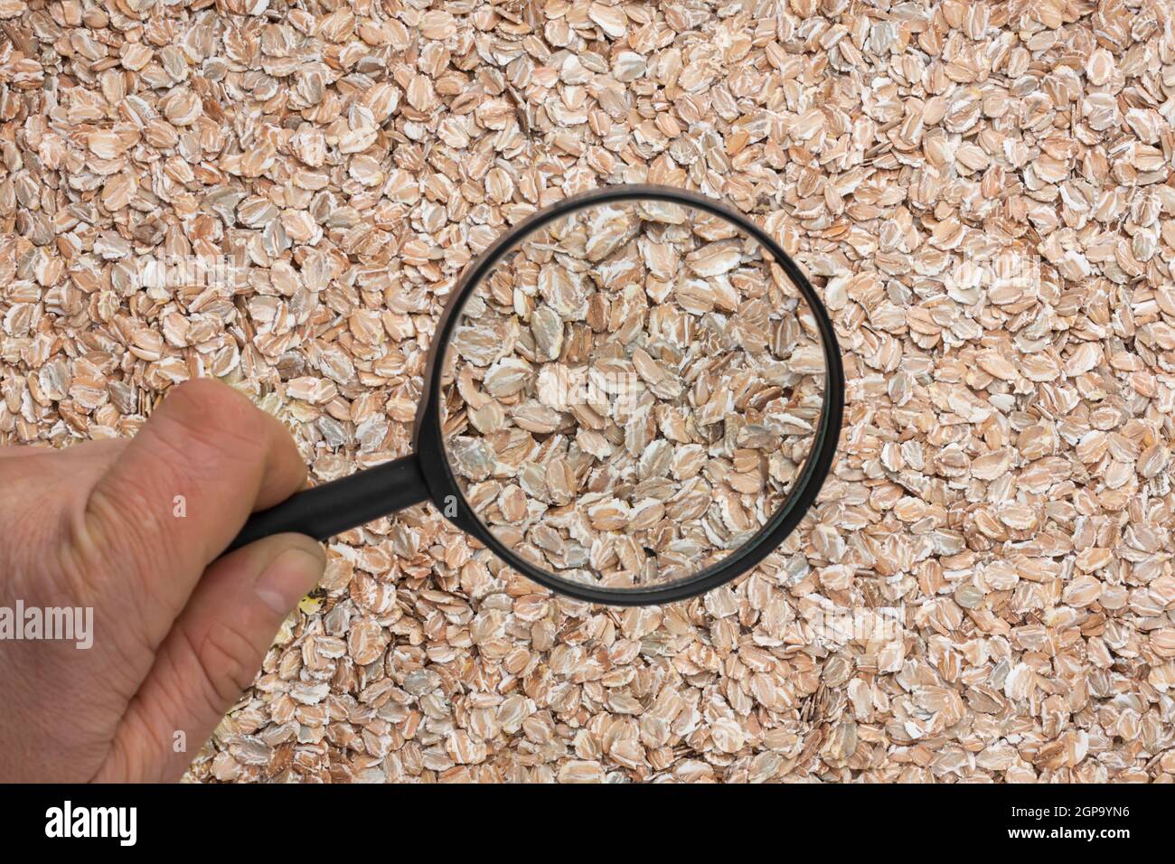 Human hand holding a magnifying glass over the flakes can be used as ...