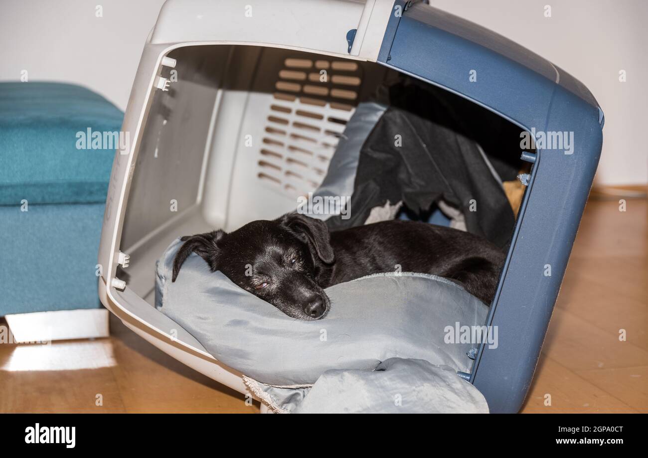 Inclined Position High Resolution Stock Photography and Images - Alamy