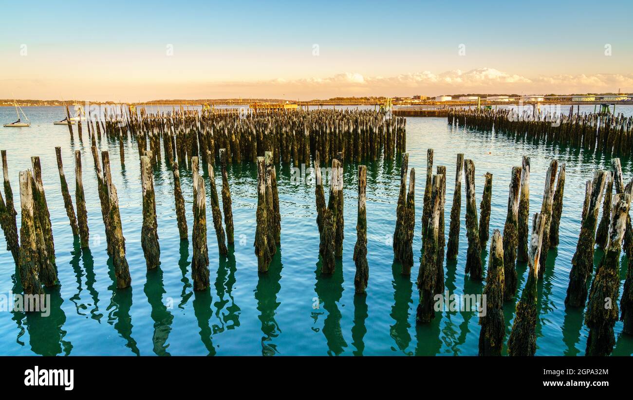 View of Portland Harbor from Eastern Promenade Trail in Portland, Maine ...