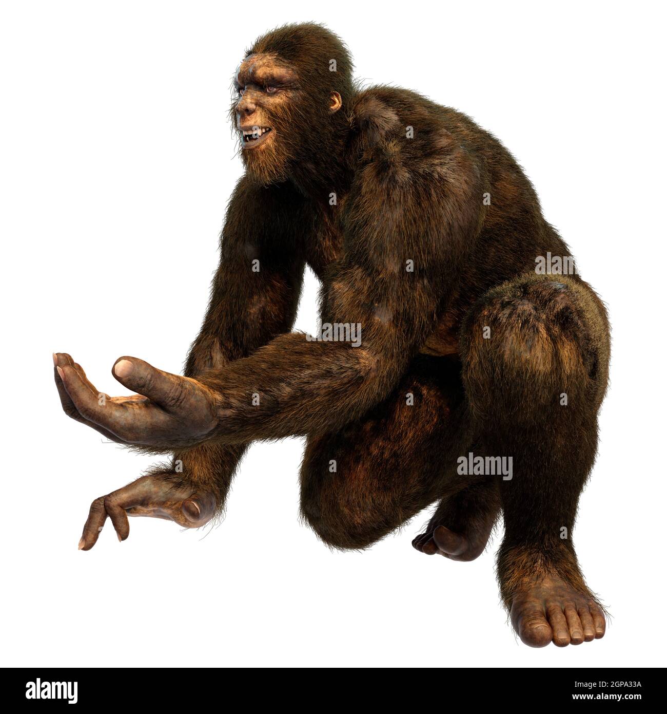 3D rendering of a Sasquatch or Bigfoot isolated on white background ...
