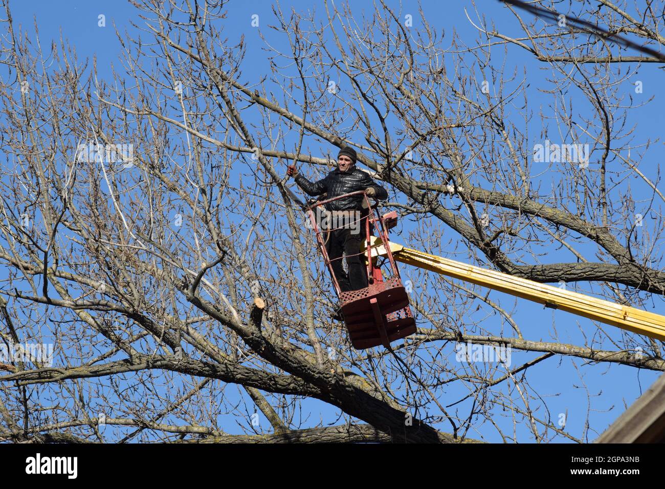 Trimming Tree Lift Arm High Resolution Stock Photography and Images - Alamy
